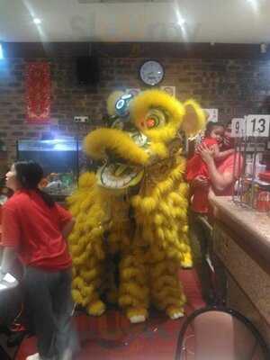 Wing Bo Chinese Restaurant, Maylands - Menu & Reviews