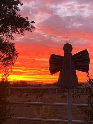 791 Estate, Budgee Budgee - Menu, prices, restaurant rating