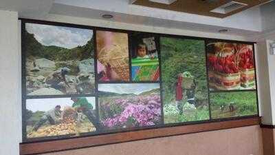 Calajo Restaurant, La Trinidad - Menu & Reviews