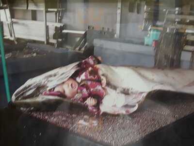 The Pioneer Bar, Sitka - 212 Katlian St - Menu and Prices