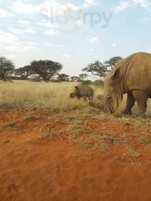 Mosu Lodge Restaurant, Mokala National Park - South Africa - Menu and ...